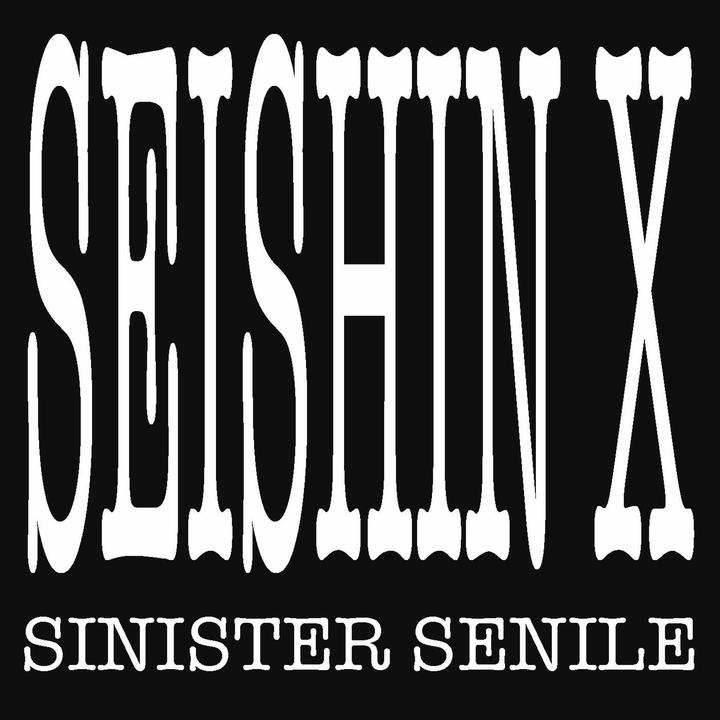 The Stars and Beyond 23_歌词_Sinister Senile的歌曲_下载-汽水音乐