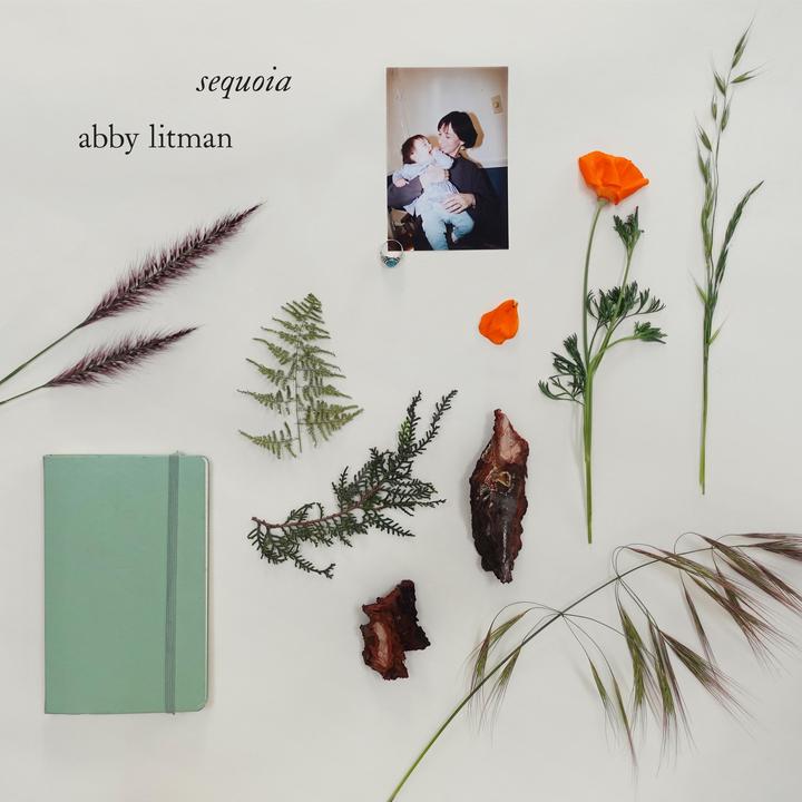 Lose Myself_歌词_Abby Litman的歌曲_下载-汽水音乐