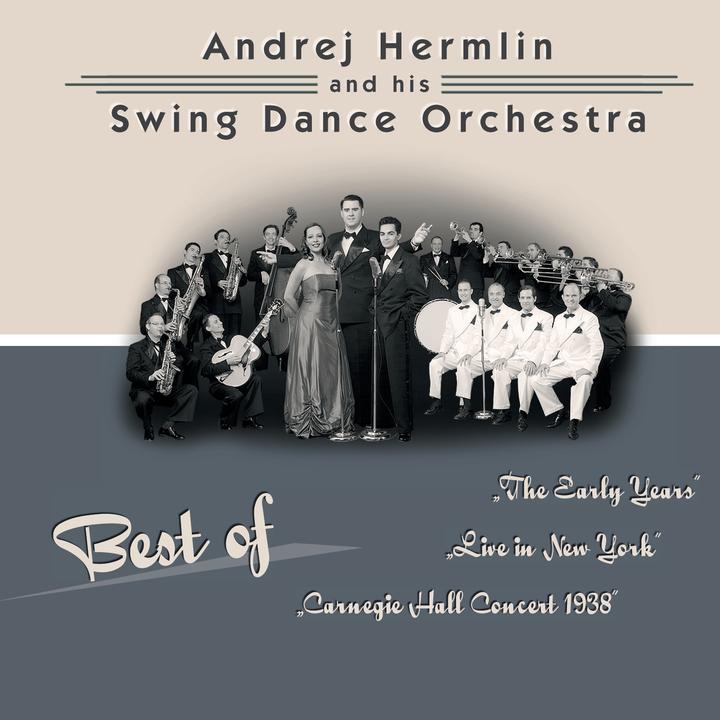 Life Goes To A Party_歌词_Andrej Hermlin & His Swing Dance Orchestra的歌曲 ...
