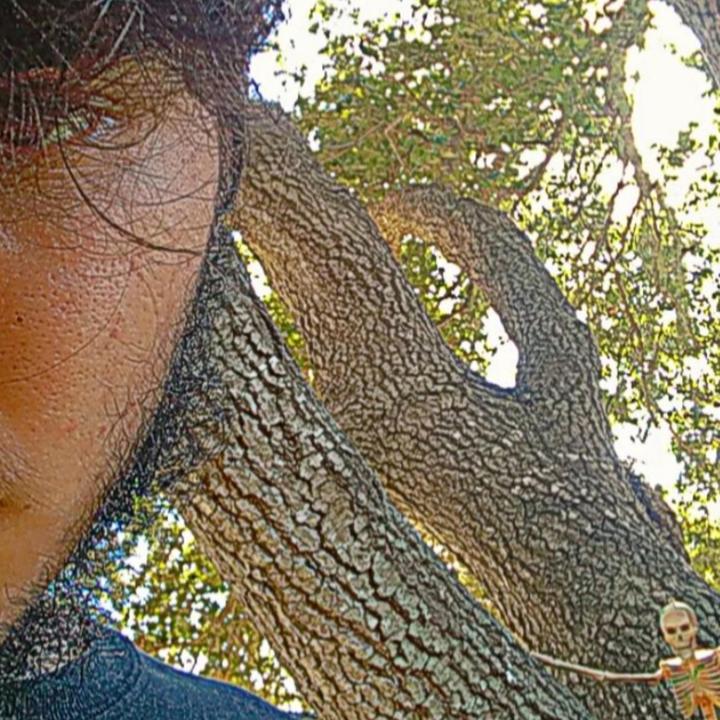 Shine Bright_歌词_Cantaro / Tyler G Music的歌曲_下载-汽水音乐