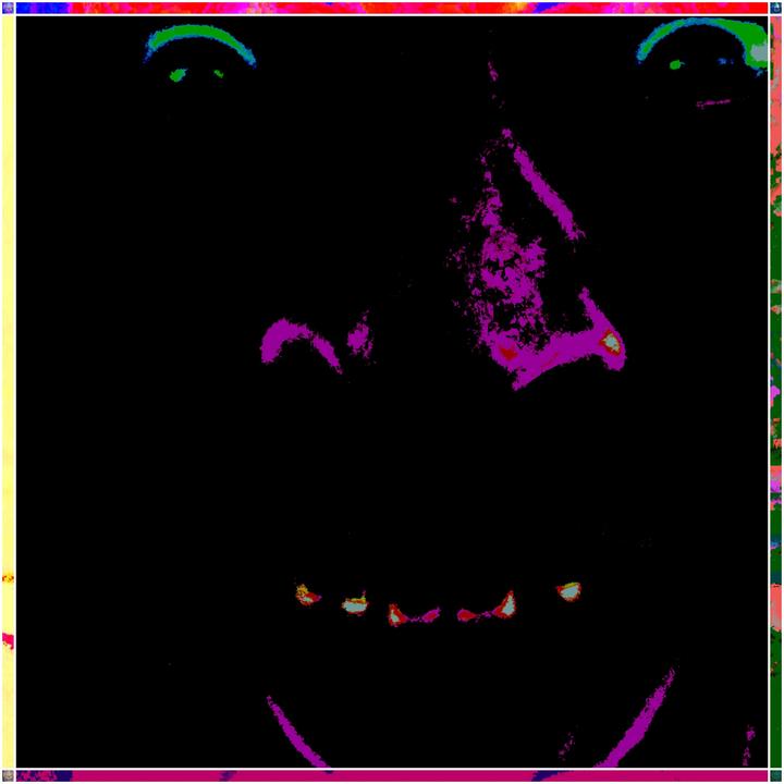 the duke of ukes_歌词_Deepinternet Trashinfinity的歌曲_下载-汽水音乐