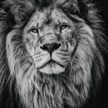 I Apologize..._歌词_MrYouAlreadyKnow / Dj Beamon的歌曲_下载-汽水音乐