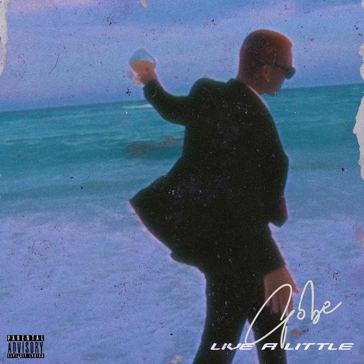 Didn't Notice_歌词_Gobe / POORSTACY的歌曲_下载-汽水音乐