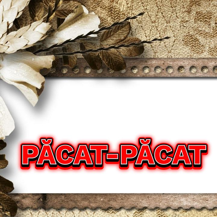 Super muzica de petrecere_歌词_Elegance的歌曲_下载-汽水音乐
