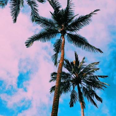 THE KING IS WILL_歌词_Lil HAMU的歌曲_下载-汽水音乐