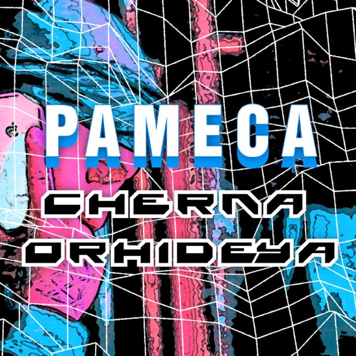 VECHERQ ZA VULCI_歌词_Pameca / ATM的歌曲_下载-汽水音乐