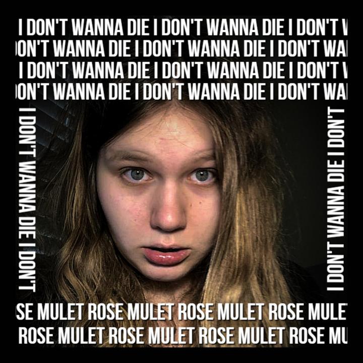 Alone_歌词_Rose Mulet的歌曲_下载-汽水音乐