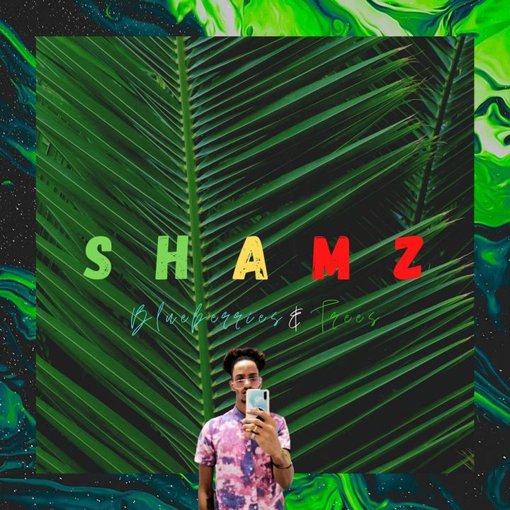 I$ U 4 M£_歌词_Shamz的歌曲_下载-汽水音乐