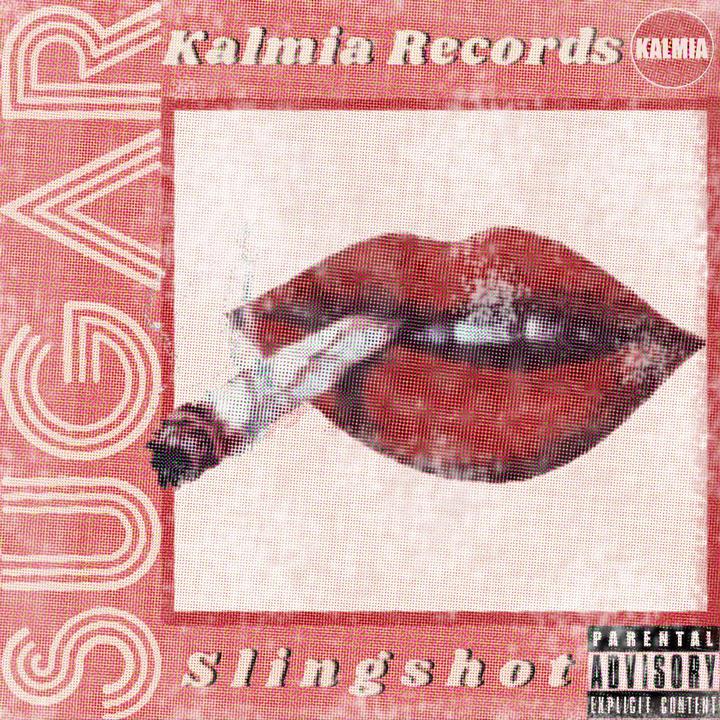 The Last Shoot_歌词_Slingshot的歌曲_下载-汽水音乐