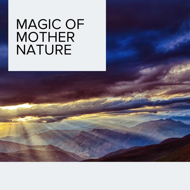 Joyful Birds Moment_歌词_Jack Lewi Nature Collective的歌曲_下载-汽水音乐