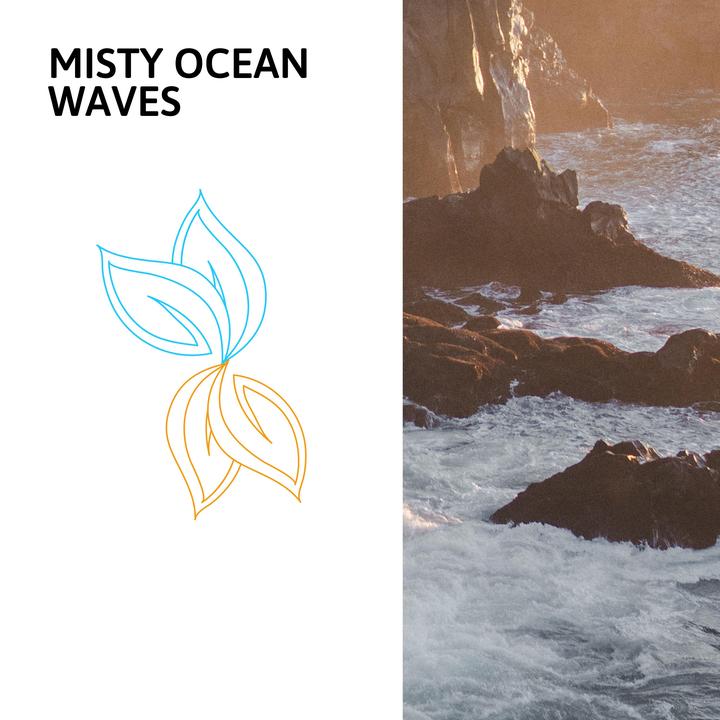 Blissful Oceanic Birds Sounds_歌词_Calling Waves Music Project的歌曲_下载-汽水音乐