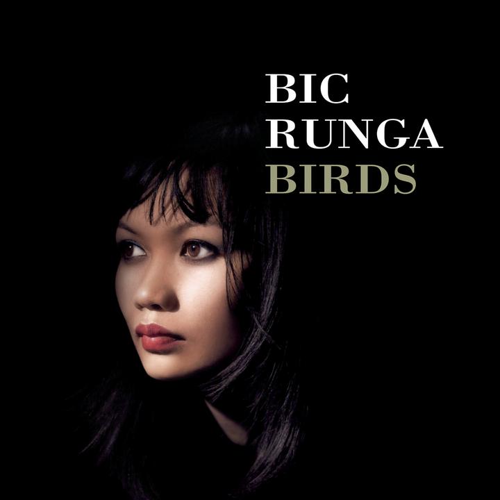 Listening for the Weather_歌词_Bic Runga的歌曲_下载-汽水音乐