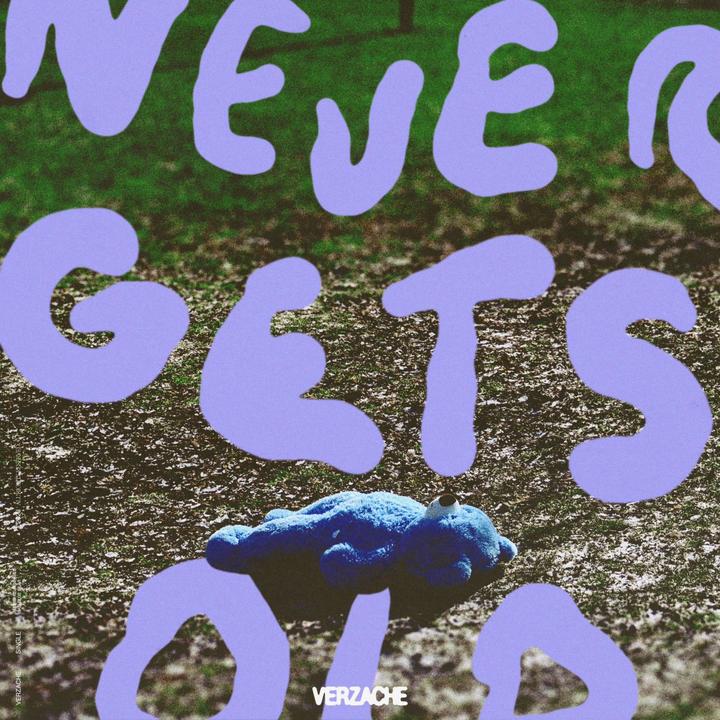 The Loser_歌词_Verzache的歌曲_下载-汽水音乐