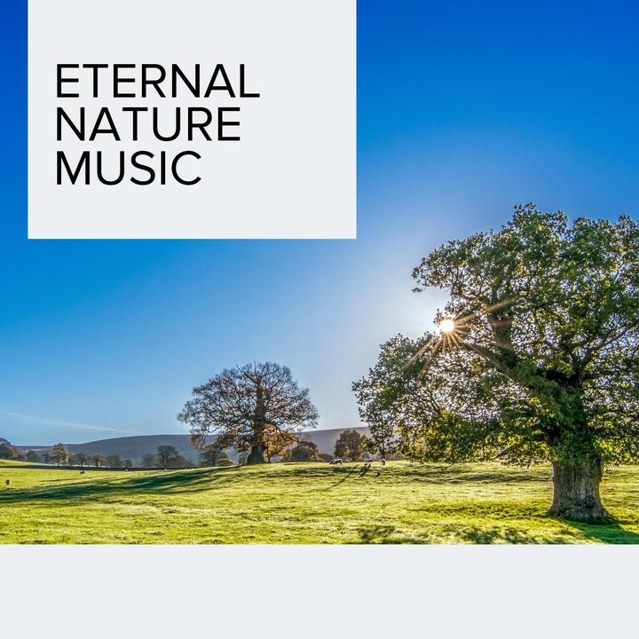 Northern Flicker Soaring High_歌词_George Walker的歌曲_下载-汽水音乐