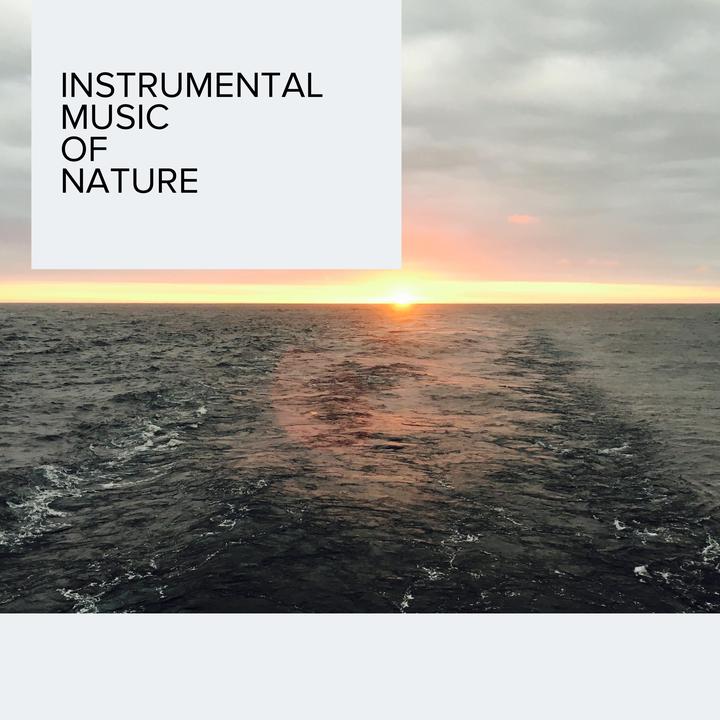 The Cosy Breeze_歌词_Ronald King的歌曲_下载-汽水音乐