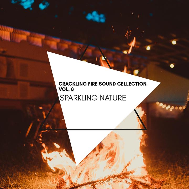 Fire Rituals_歌词_Firebug Nature Music Project的歌曲_下载-汽水音乐