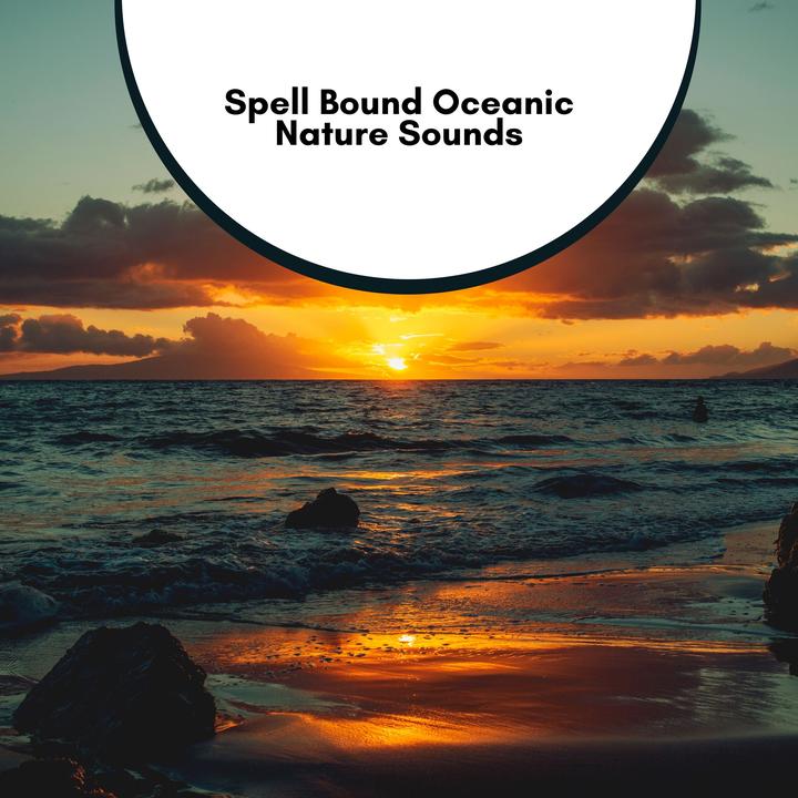 Birds of Pink Feathers_歌词_Pedro Rizzo的歌曲_下载-汽水音乐