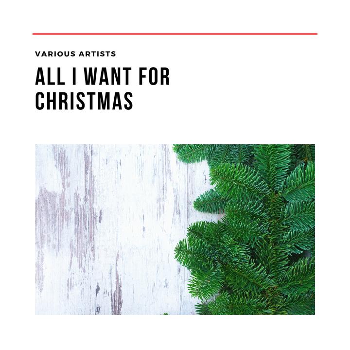 We Wish You a Merry Christmas_歌词_The Chipmunks / David Seville的歌曲_下载-汽水音乐