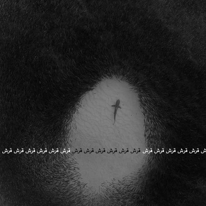 Sekka_歌词_Linko / AMYNE1的歌曲_下载-汽水音乐