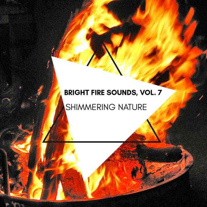 Forest On Fire_歌词_Paradise Blaze Fire Sound的歌曲_下载-汽水音乐