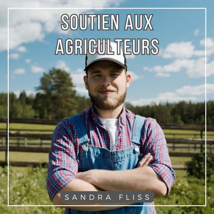 Mauvais caractère_歌词_Sandra Fliss的歌曲_下载-汽水音乐