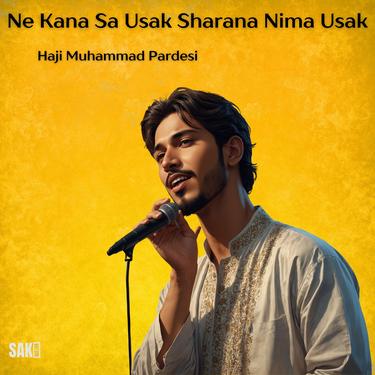 Ne Jod Karene Rab Masingo Kula Na Zeba_歌词_Haji Muhammad Pardesi的歌曲_下载-汽水音乐