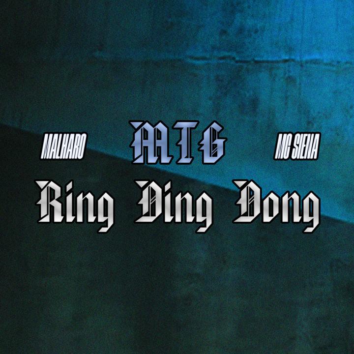 AUTOMOTIVO BRUXARIA MELÓDICA_歌词_Malharo / Luan Street / MC BIJHEI ...