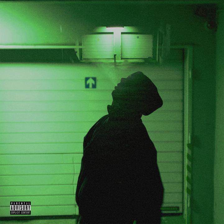 cely den celu noc_歌词_Yaya Rebel / Frayer Flexking的歌曲_下载-汽水音乐