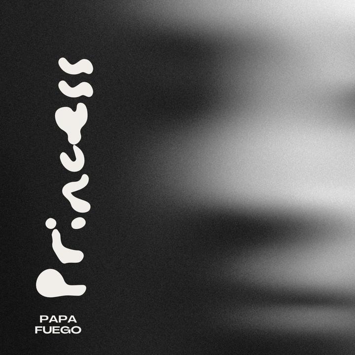 The Disco - Piano Edit_歌词_Dwayne Minard的歌曲_下载-汽水音乐