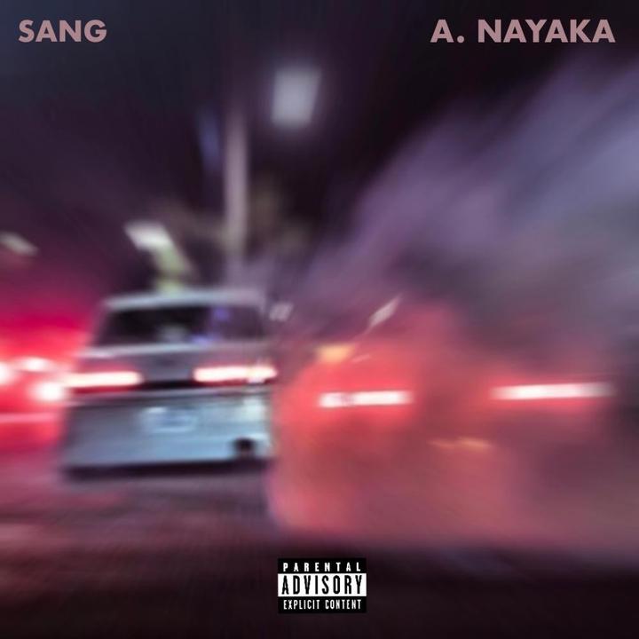 Say The Price_歌词_sang的歌曲_下载-汽水音乐