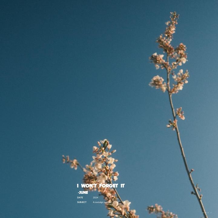 Two Lane Driving_歌词_June的歌曲_下载-汽水音乐