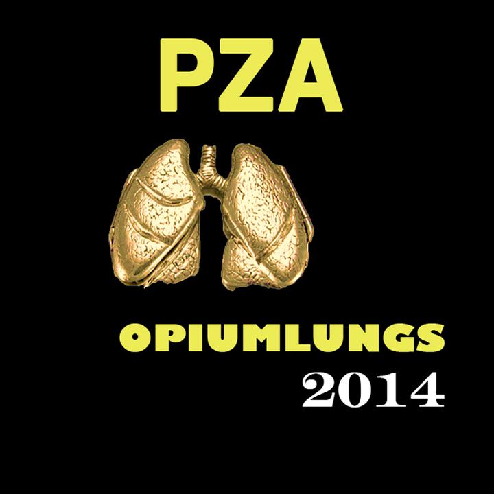 PALMTREE ART EXHIBIT_歌词_PZA的歌曲_下载-汽水音乐