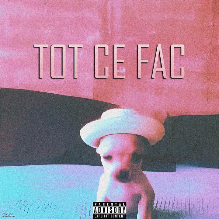 CASH TREES_歌词_Daniel Teed / Adams Avenue的歌曲_下载-汽水音乐