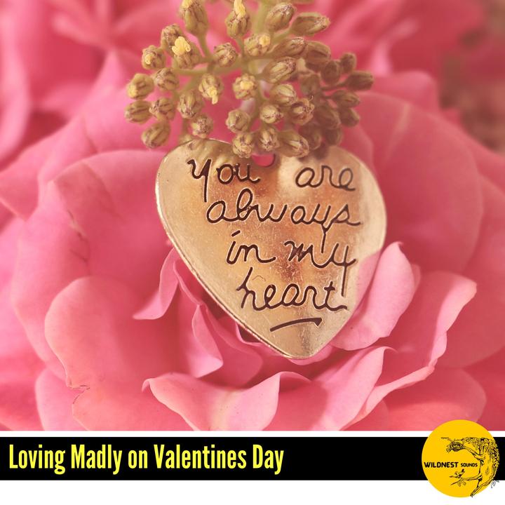 Exotic Romance (Romantic Piano E Minor)_歌词_Chris Wilson的歌曲_下载-汽水音乐