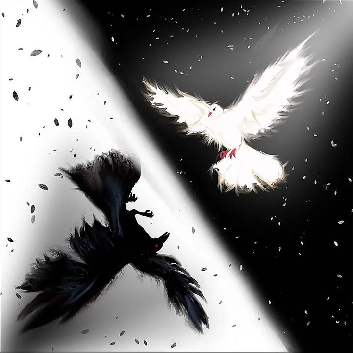 Tolla Se Dolla_歌词_Tolla van der Merwe / Danie Niehaus的歌曲_下载-汽水音乐