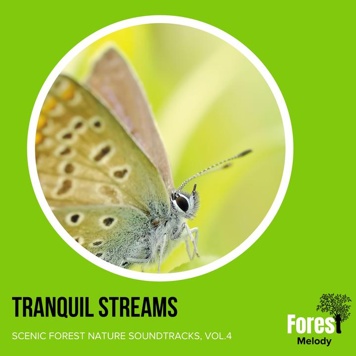 Dwarf Crickets_歌词_Aweful Nature Serenity Vibes的歌曲_下载-汽水音乐