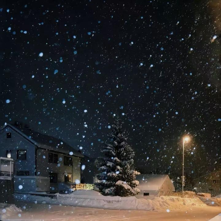 Pearls of Wisdom_歌词_Recess Monkey的歌曲_下载-汽水音乐