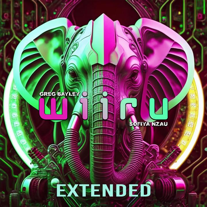 Wiiru - Afro Log House_歌词_Greg Bayley / Sofiya Nzau的歌曲_下载-汽水音乐