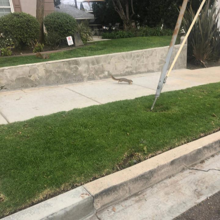 Dropout_歌词_MajorKooper / Cousin Baby Jack的歌曲_下载-汽水音乐