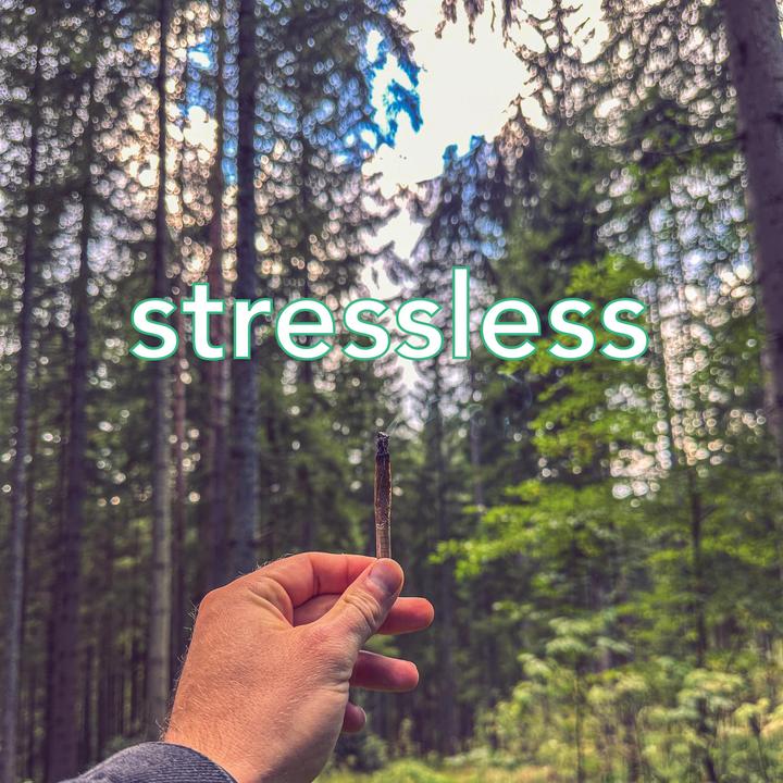 the unknown_歌词_buffalohaze的歌曲_下载-汽水音乐