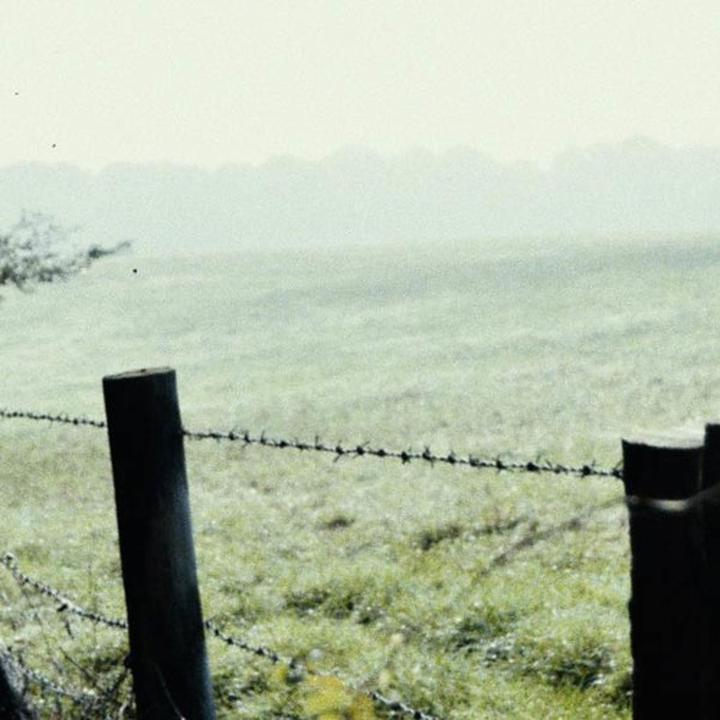 hollow eyes_歌词_Empty Roads的歌曲_下载-汽水音乐