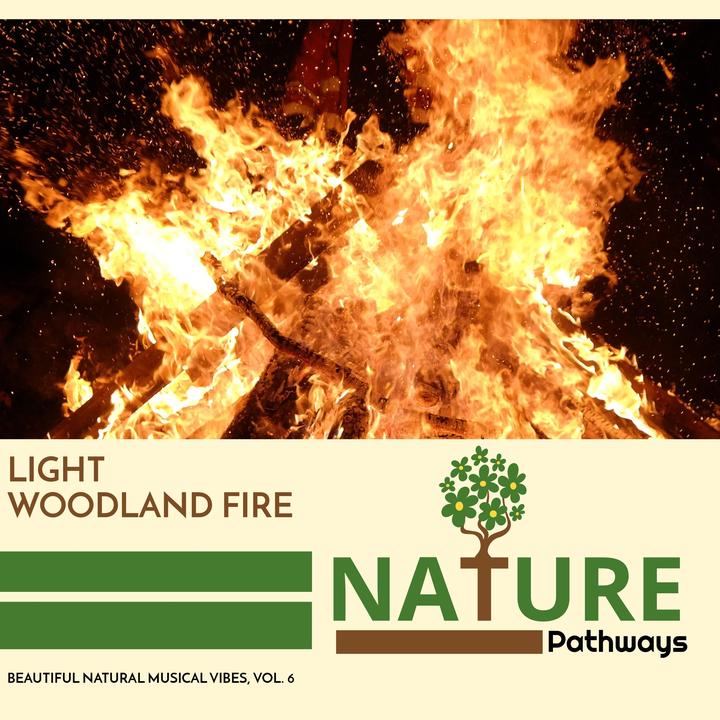 Luxuriate in Firelight_歌词_Black Fire Smoke Production的歌曲_下载-汽水音乐