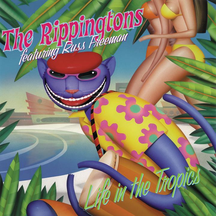 Rhythm Of Your Life_歌词_The Rippingtons / Gary Grant / Bill Heller ...
