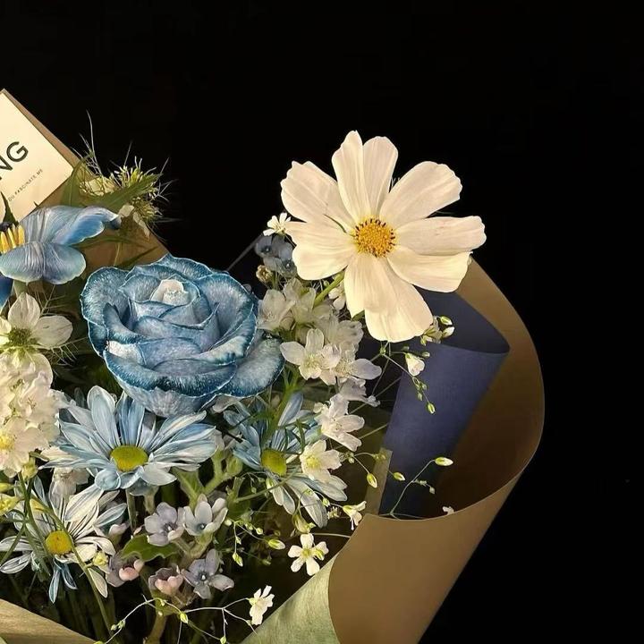 Westminster Roaming_歌词_Daniel Morrison Neil的歌曲_下载-汽水音乐