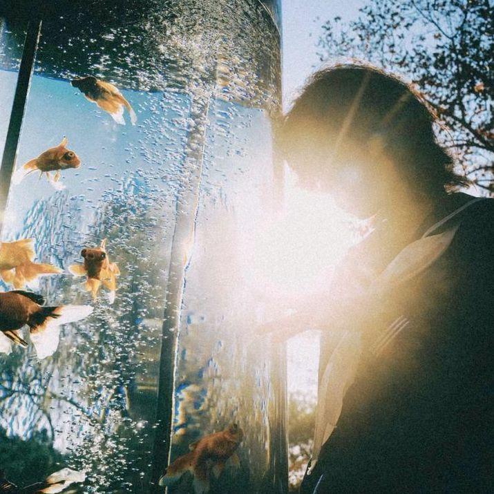 SADSADSAD (feat. HIKKA)_歌词_cocoro / HIKKA的歌曲_下载-汽水音乐