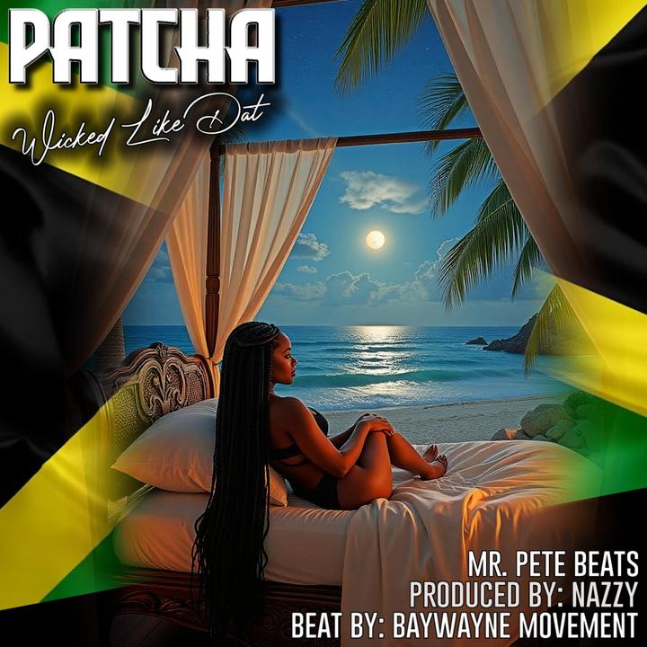 Ting Ting_歌词_Patcha的歌曲_下载-汽水音乐