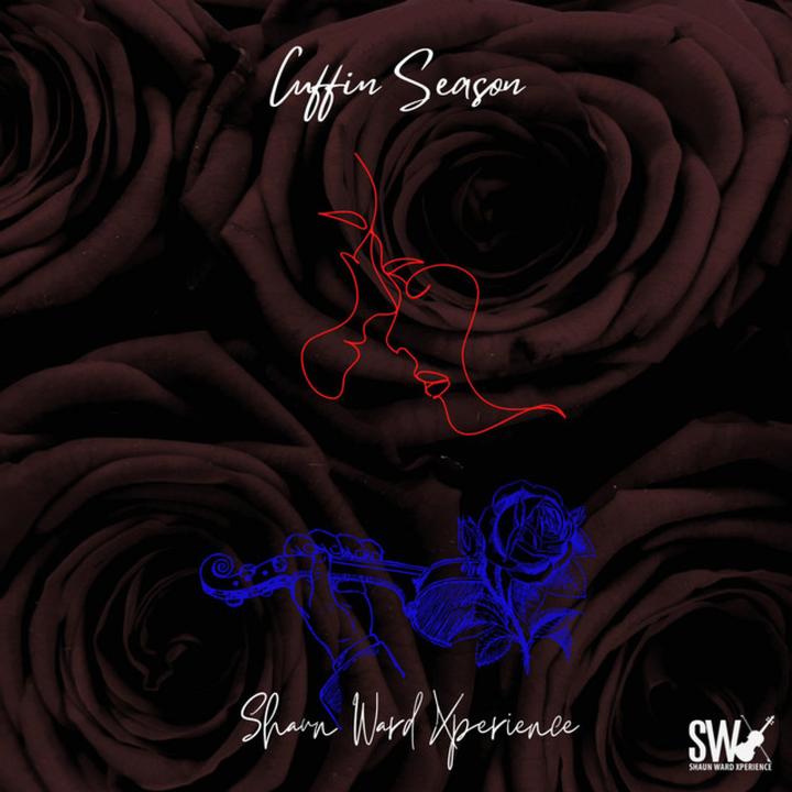 Essence_歌词_Shaun Ward Xperience的歌曲_下载-汽水音乐