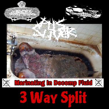 The Devil's Eyes_歌词_Pus Sliver的歌曲_下载-汽水音乐