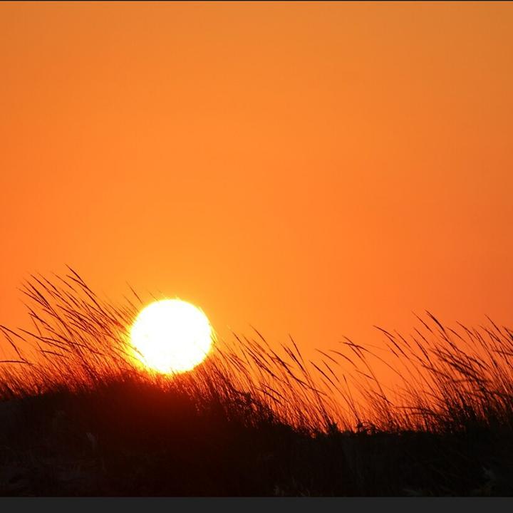 SADSADSAD (feat. HIKKA)_歌词_cocoro / HIKKA的歌曲_下载-汽水音乐