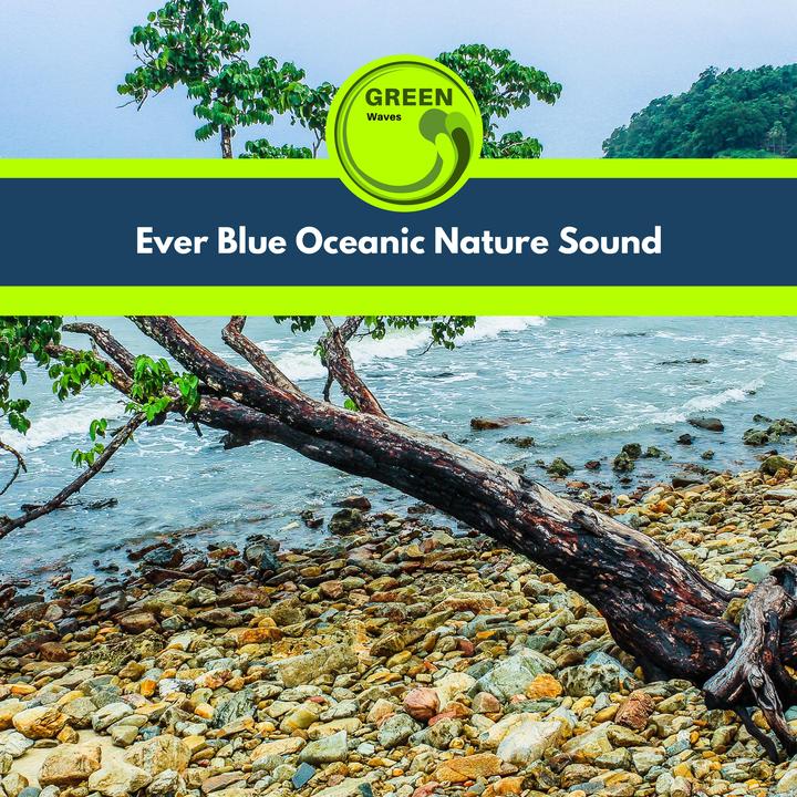 Birds tempt_歌词_Raymond n Walker Nature Library的歌曲_下载-汽水音乐